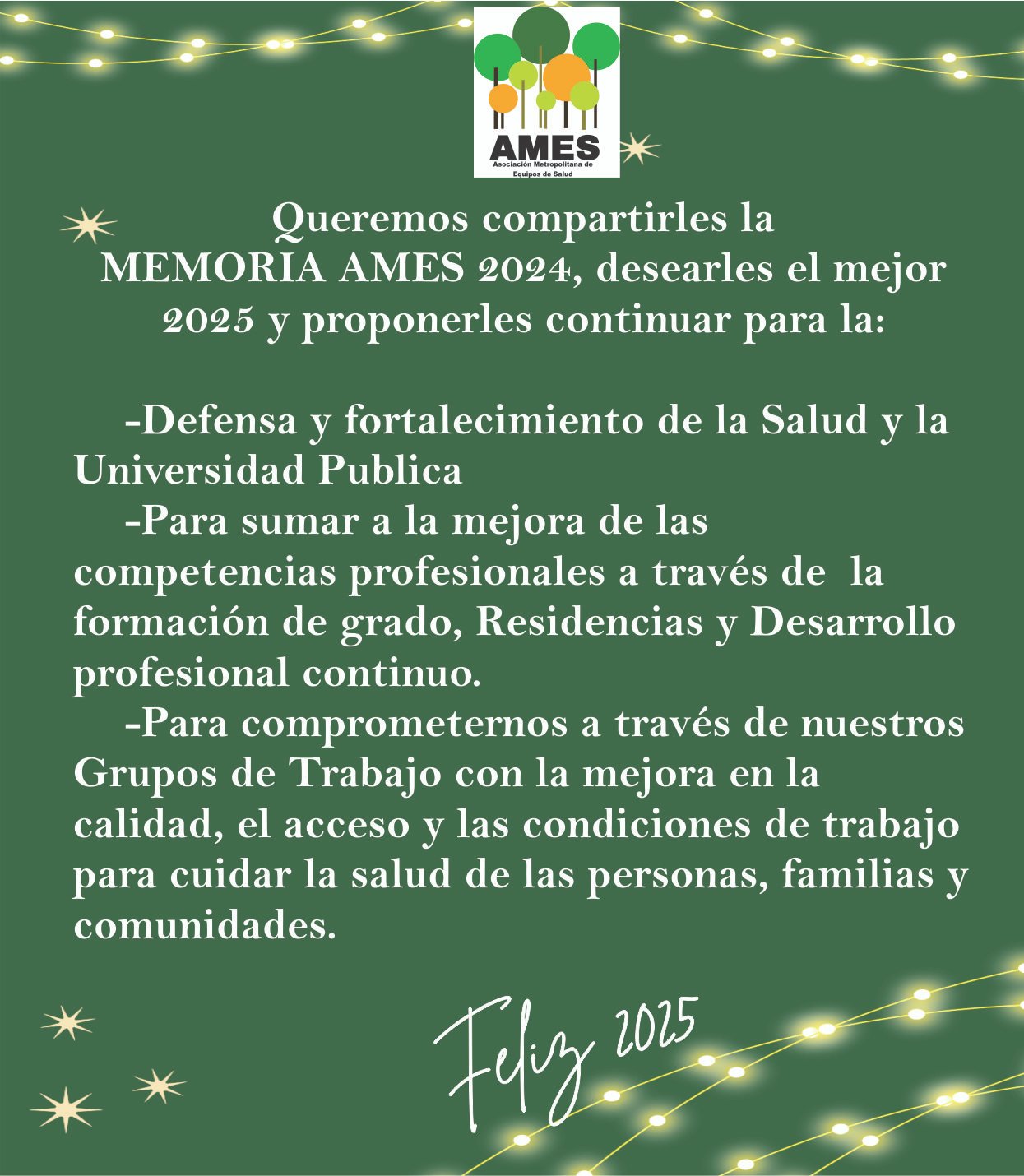 Queremos compartirles la MEMORIA AMES 2024 – Asociacion Metropolitana ...
